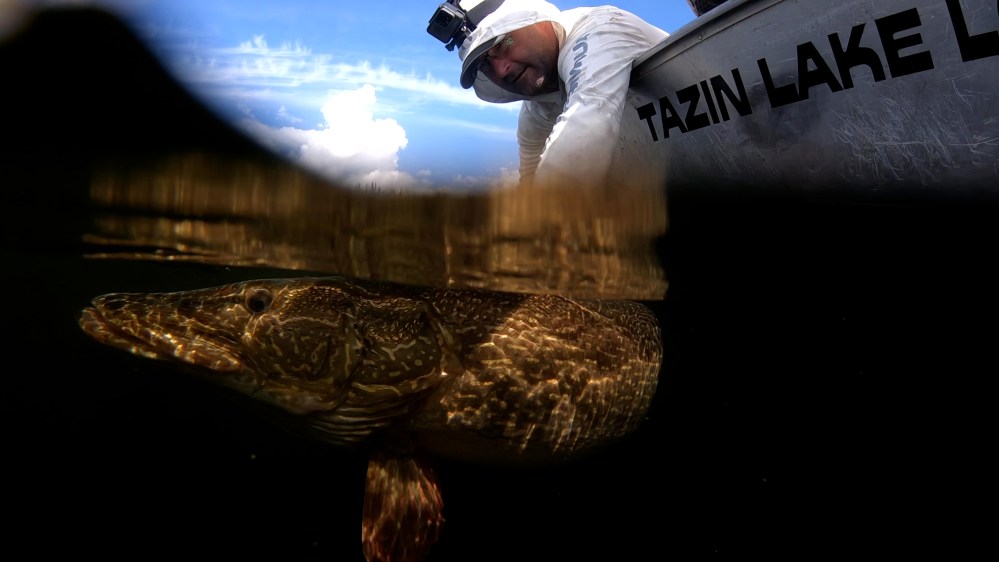 What to Expect – Tazin Lake Lodge