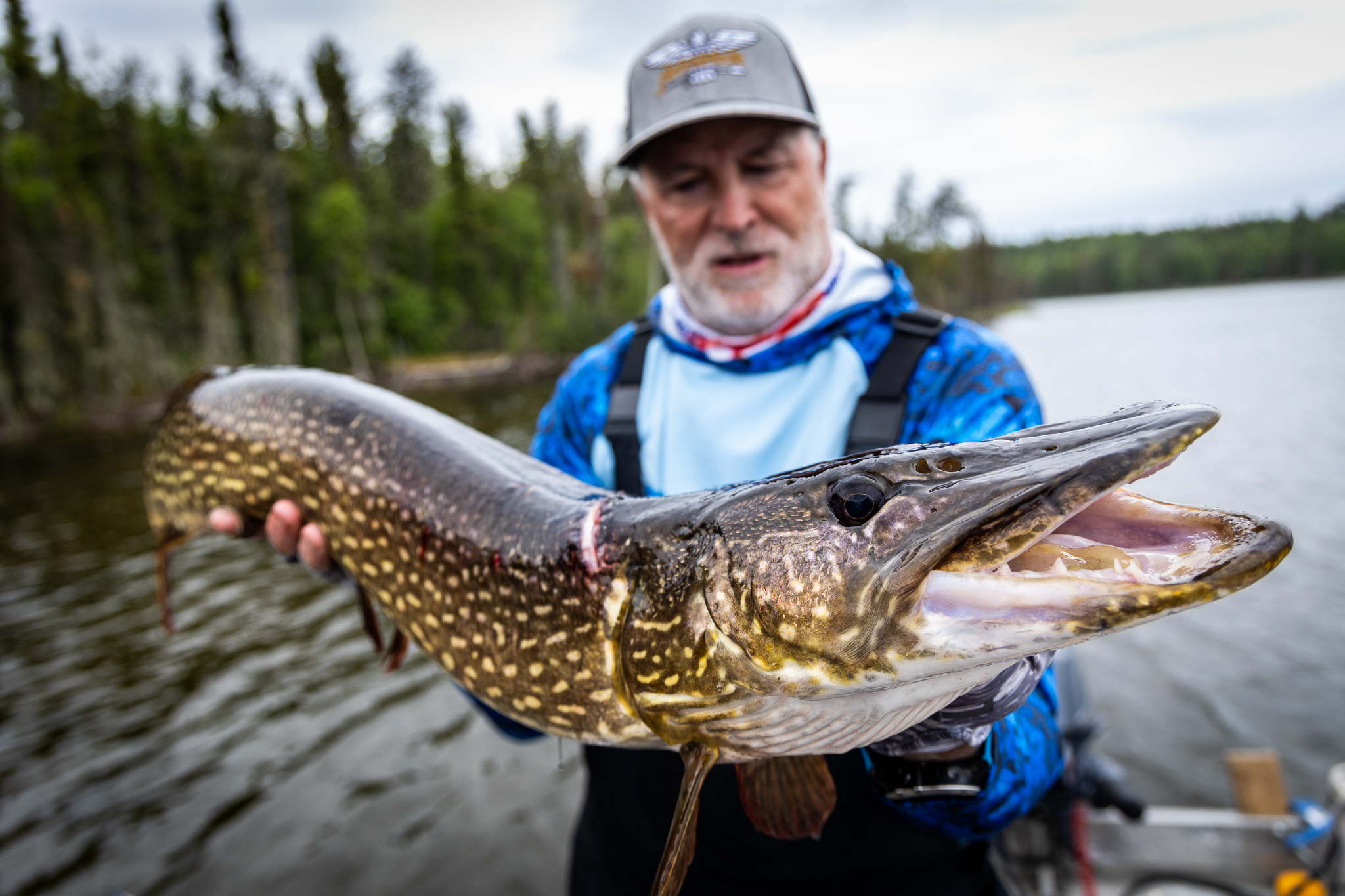 Ten Days Away! Camp opens June 14th. Here’s a new Tazin TV episode to ...