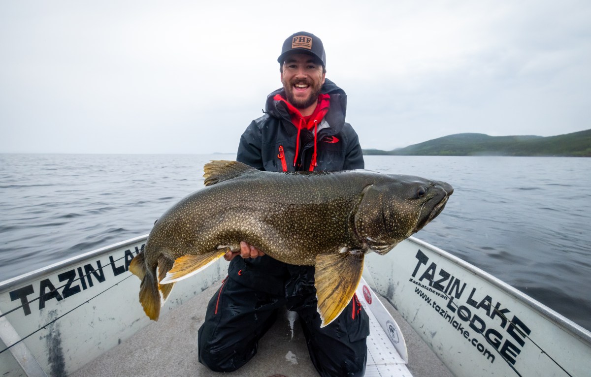 Spectacular Fish That Live In Beautiful Places: New Tazin TV Episode ...